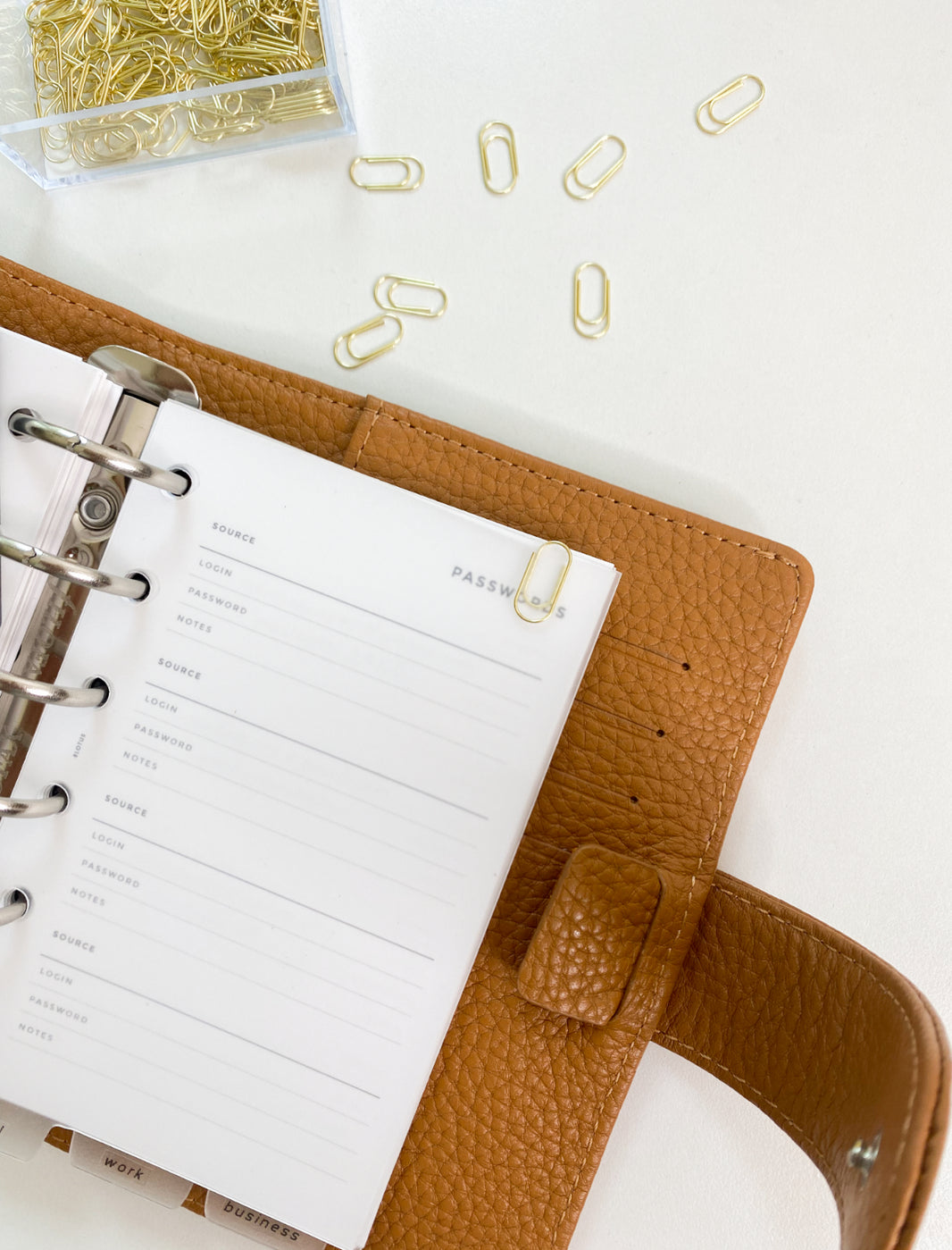 New Releases – CASAVICI